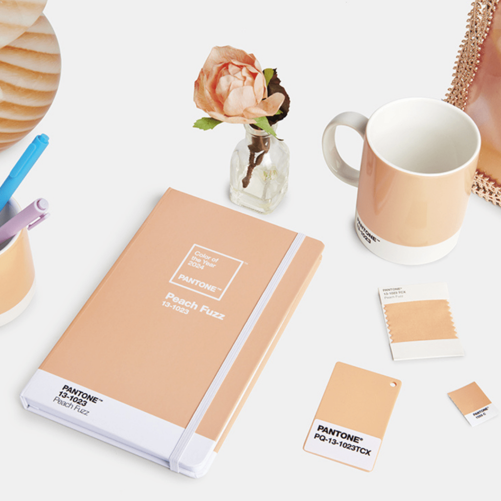 Couleur Pantone 2024 : Peach Fuzz 13-1023 | Jordenen Couleur Pantone 2024 : Peach Fuzz 13-1023 | Jordenen